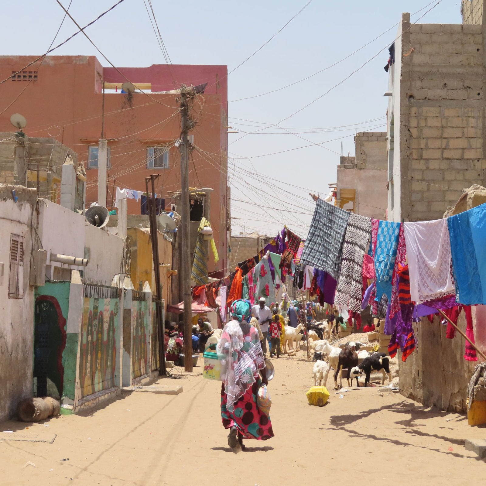 Gap Year in Senegal | Arts & Culture | Dragons